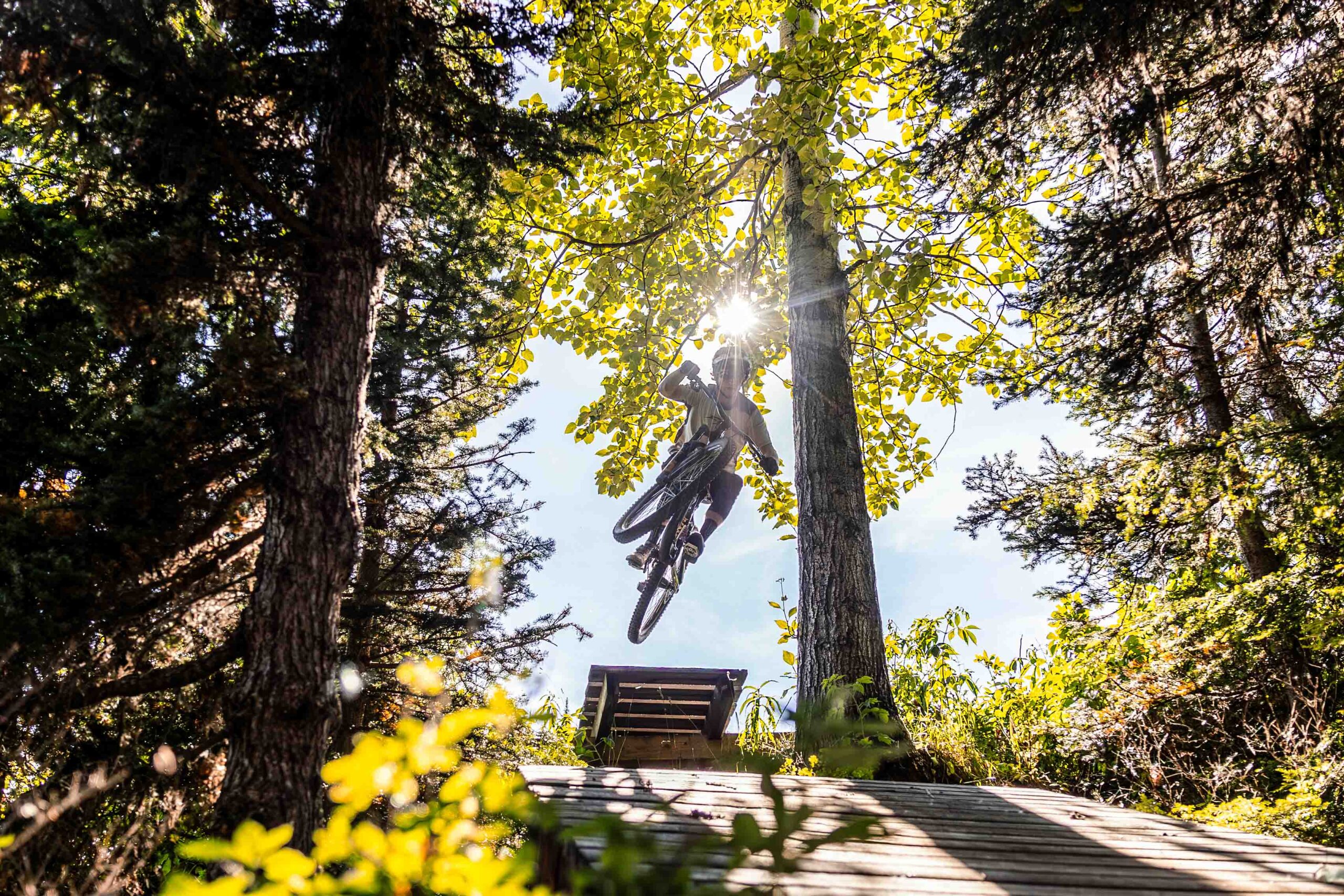 Explore Trails in Smithers | Scenic Hiking & Outdoor fun
