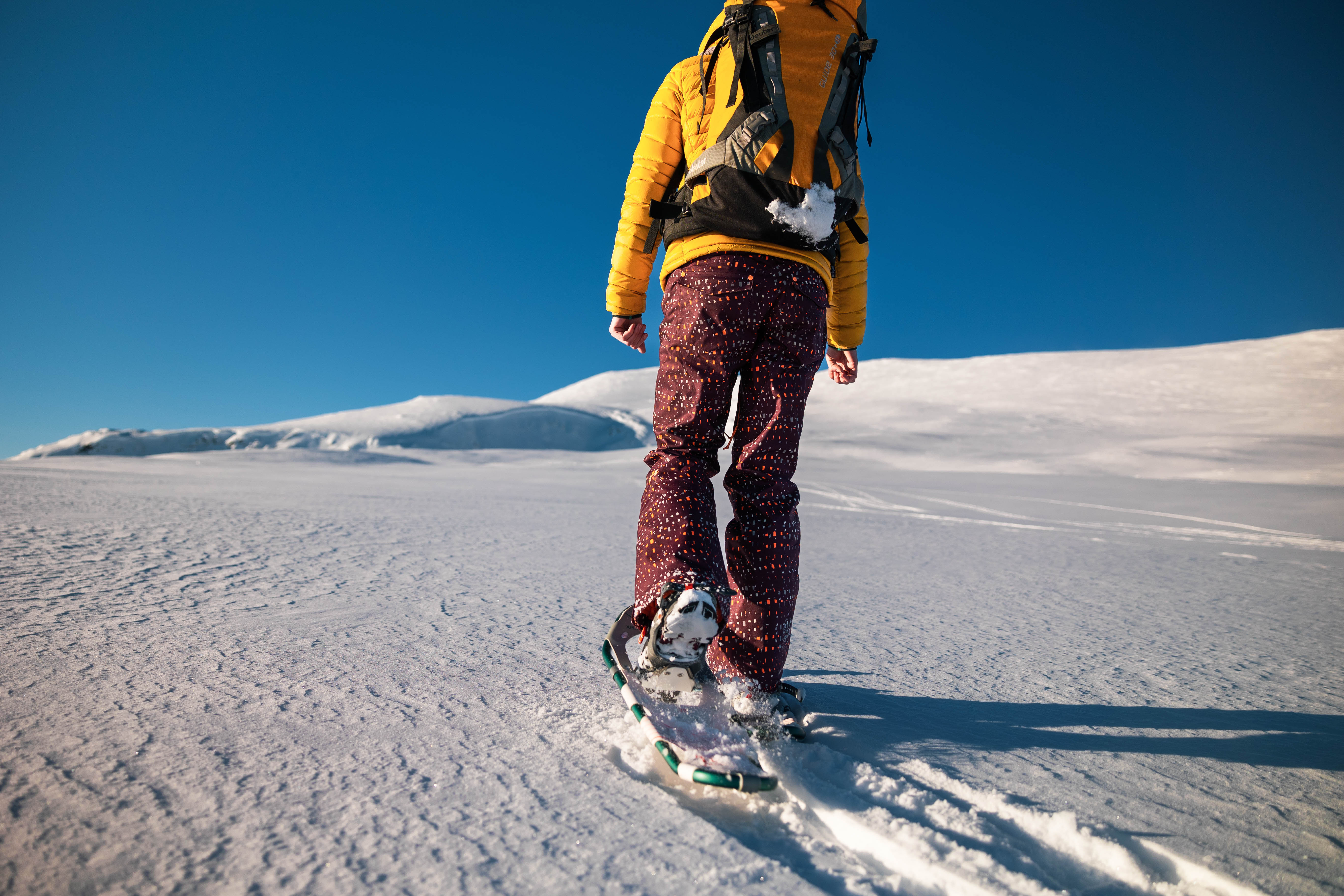 Snowshoeing in Smithers | Winter Trail Adventures